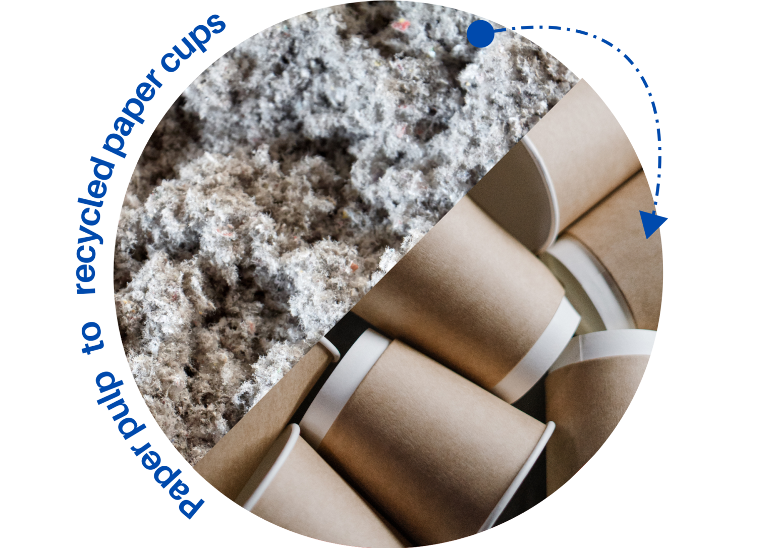 Sustainable Alternatives to Plastic Packaging | Plastic EDU